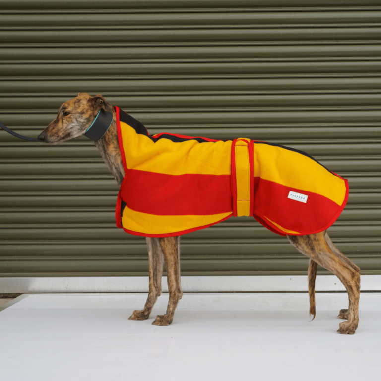 Greyhound Coats and Fleeces | Slaneyside Supplies