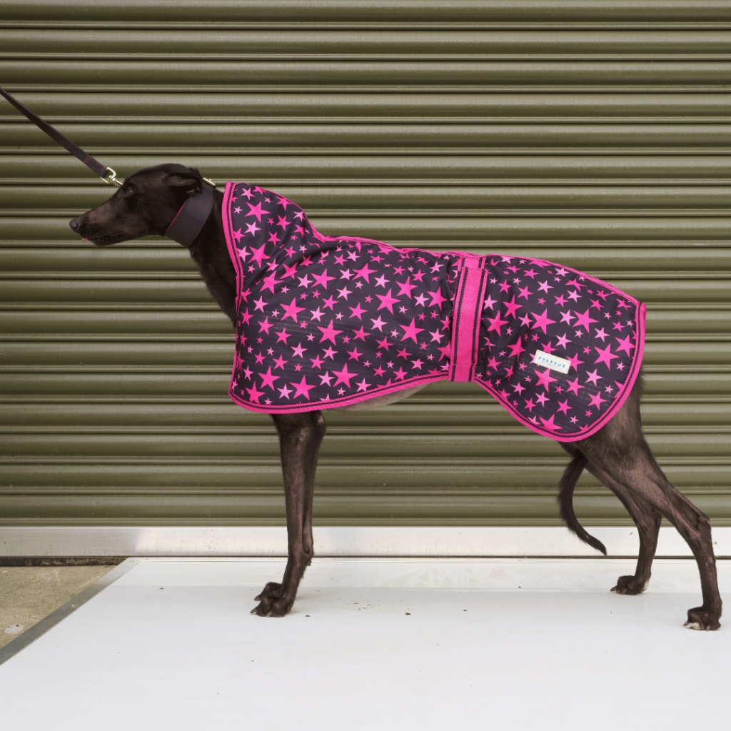 Greyhound Supplies Archives - Slaneyside Kennels