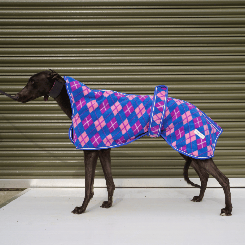 Greyhound Supplies Archives - Slaneyside Kennels