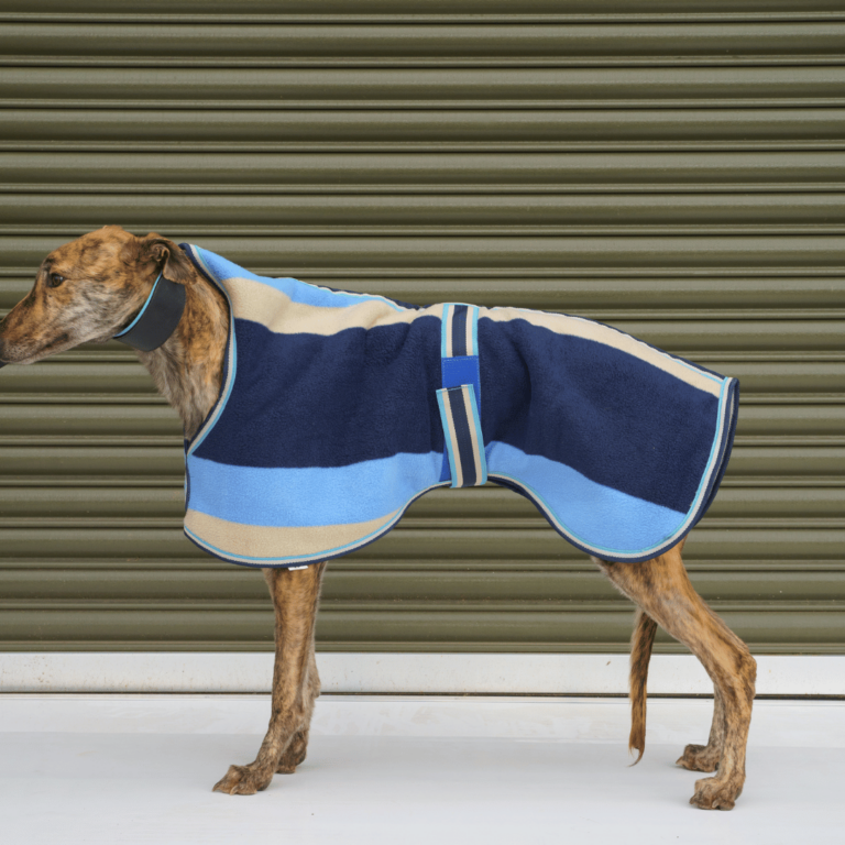 Greyhound Coats and Fleeces | Slaneyside Supplies